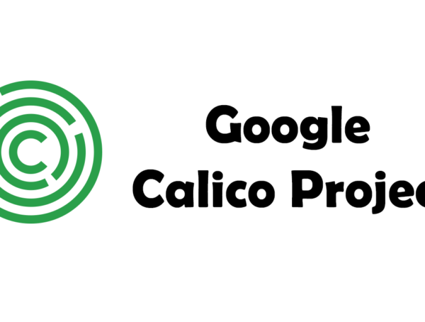Calico, la empresa de Google que busca la inmortalidad humana